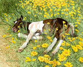Bev Doolittle® Fine Art Prints - The Greenwich Workshop Collections