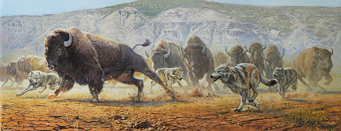 The Natural Order of Things - Limited Edition Fine Art | Greenwich Workshop